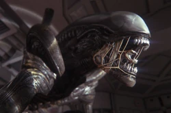 Alien Isolation Xenomorph Drone