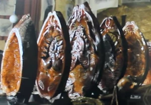 Ovomorph (Praetomorph) | Xenopedia | Fandom