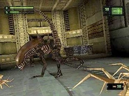 Alien Resurrection (video game) | Xenopedia | Fandom