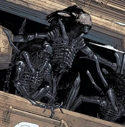 Xenomorph Praetorian Head