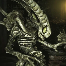 Aliens Colonial Marines Xenomorph Types