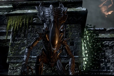xenomorph prime predator