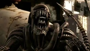 Tarkatan Xenomorph | Xenopedia | Fandom
