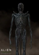 Praetomorph | Xenopedia | Fandom