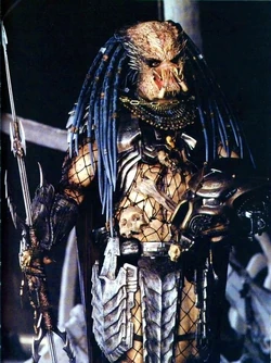 Elder Predator