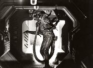 The Alien (Xenomorph) | Xenopedia | Fandom