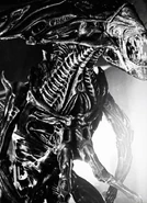 Queen (Acheron) | Xenopedia | Fandom