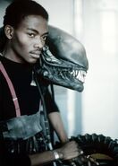 The Alien (Xenomorph) | Xenopedia | Fandom
