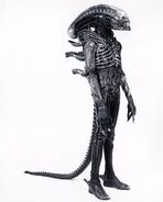 The Alien (Xenomorph) | Xenopedia | Fandom