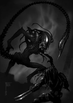Avp Predalien