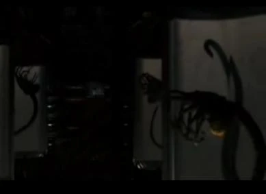 Talk:Predalien (Earth) | Xenopedia | Fandom