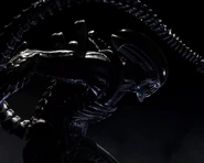 Tarkatan Xenomorph | Xenopedia | Fandom