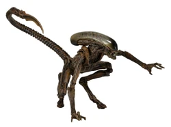 Xenomorph Runner