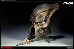 All Avp Helmets