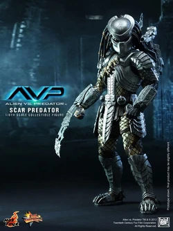 Yautja Alien Vs Predator Scar