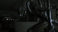 Drone (Sevastopol) | Xenopedia | Fandom