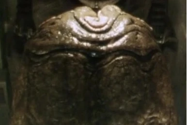 travis wester justified