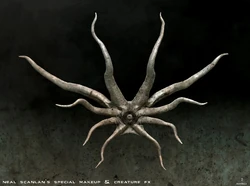 Trilobite Prometheus