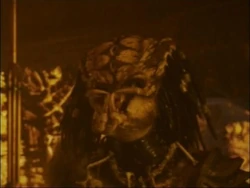 Snake Predator
