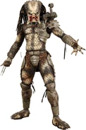 Crucified Predator | Xenopedia | Fandom