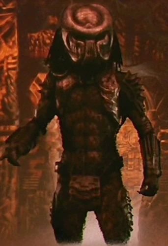 Warrior (Yautja) | Xenopedia | Fandom