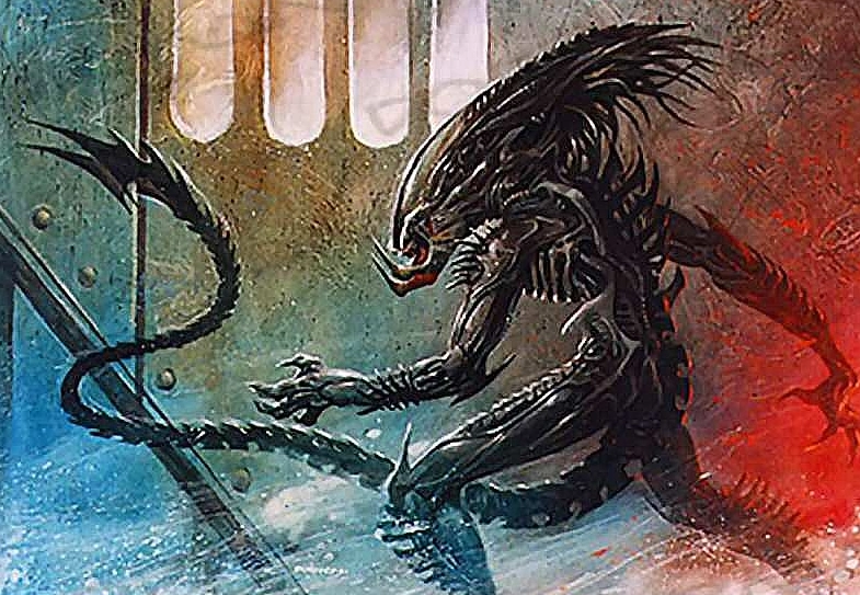 Predalien Spacca Petto