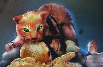 Chester the Cat | Xenopedia | Fandom