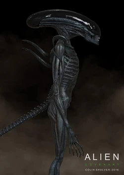 NECA Reveals Neomorph Xenomorph Alien Covenant Figures, 51% OFF