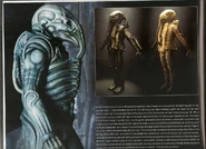 Engineer | Xenopedia | Fandom