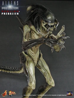 Predalien Facehugger