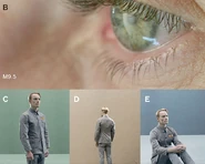 David 8 (model) | Xenopedia | Fandom