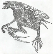 Rogue (Xenomorph) | Xenopedia | Fandom