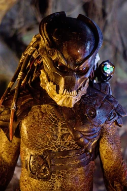 Alien Vs Predator Predator Without Mask