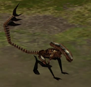 Runner | Xenopedia | Fandom