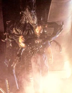 Queen (Acheron) | Xenopedia | Fandom
