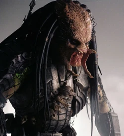 Alien Vs Predator Predator Without Mask