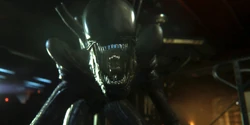 Alien Isolation Xenomorph Drone