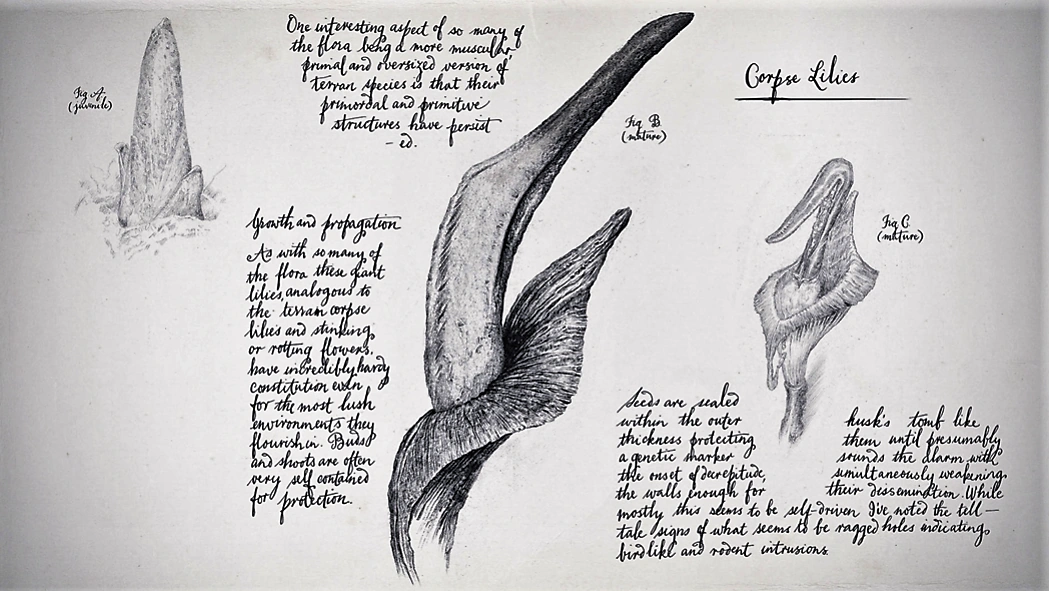Corpse Lily | Xenopedia | Fandom