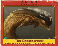 Chestburster (Renaissance) | Xenopedia | Fandom