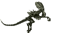 Alien vs. Predator (1994 arcade game) | Xenopedia | Fandom