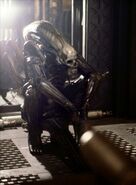 The Alien (Xenomorph) | Xenopedia | Fandom