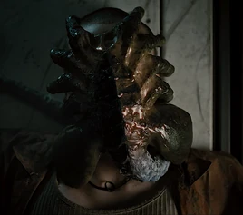 Facehugger (Renaissance) | Xenopedia | Fandom