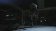 Drone (Sevastopol) | Xenopedia | Fandom