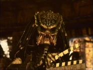 Borg | Xenopedia | Fandom