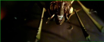 Alien Beetle | Xenopedia | Fandom