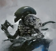 Boiler | Xenopedia | Fandom