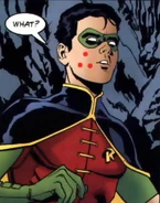 Robin | Xenopedia | Fandom