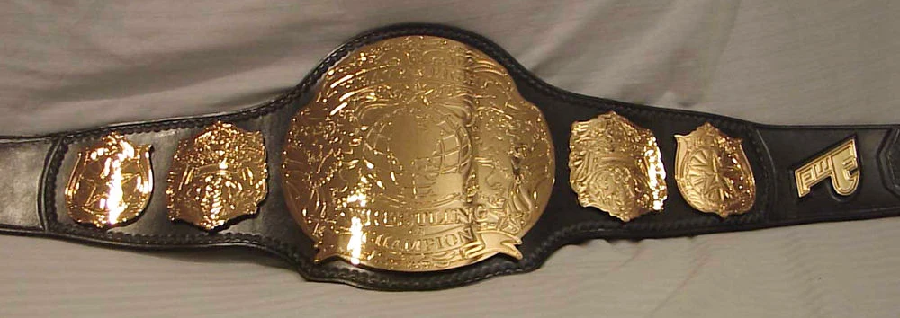 WPW Heavyweight Championship | AWC Glorious Night / WPW Stars Road Wiki ...