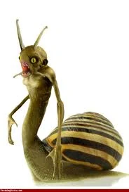 Snail-people | Awesome List Wiki | Fandom