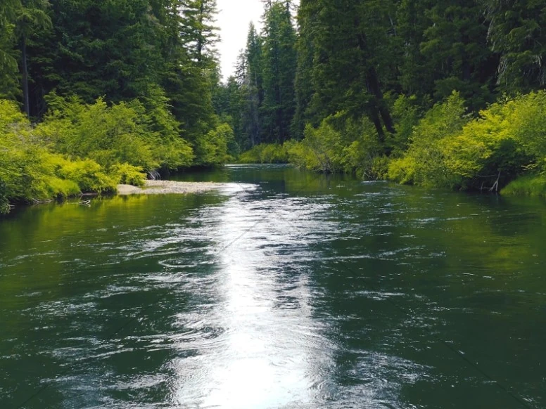 The Mullen River | AWOIAF Curse of Maegor Wiki | Fandom